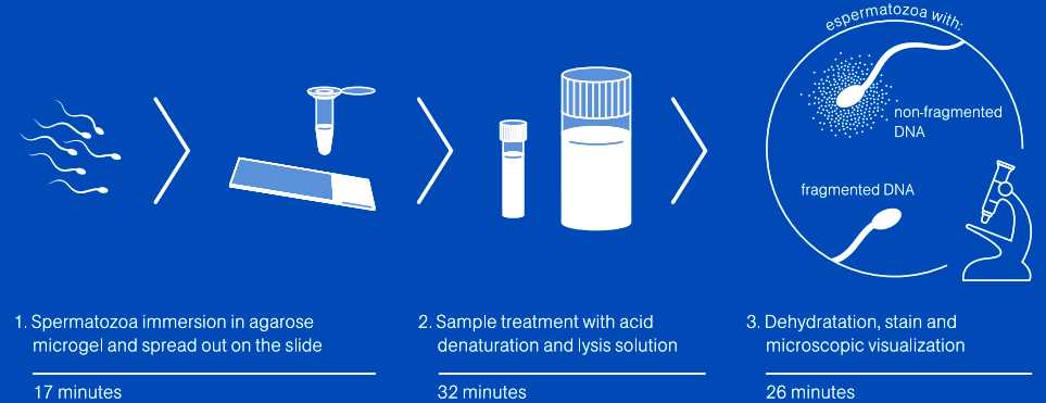 Halosperm – PT. Goldenlab International